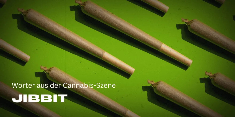 What is a jibbit? Cannabis-Wissen